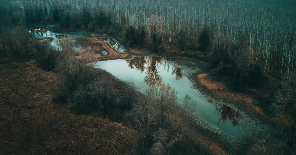 The Greatest Trick 'the Swamp' Ever Pulled - Competitive Enterprise ...