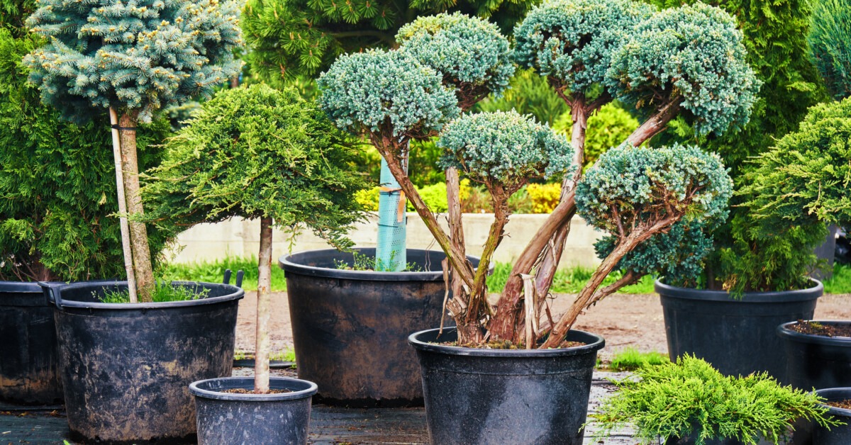 Flawed guidance for monetizing nature should be withdrawn - Competitive ...